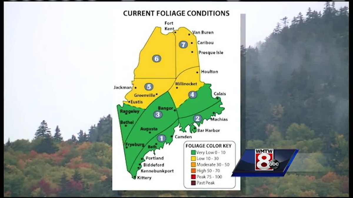 Celebrate fall with Mallory's fall foliage report