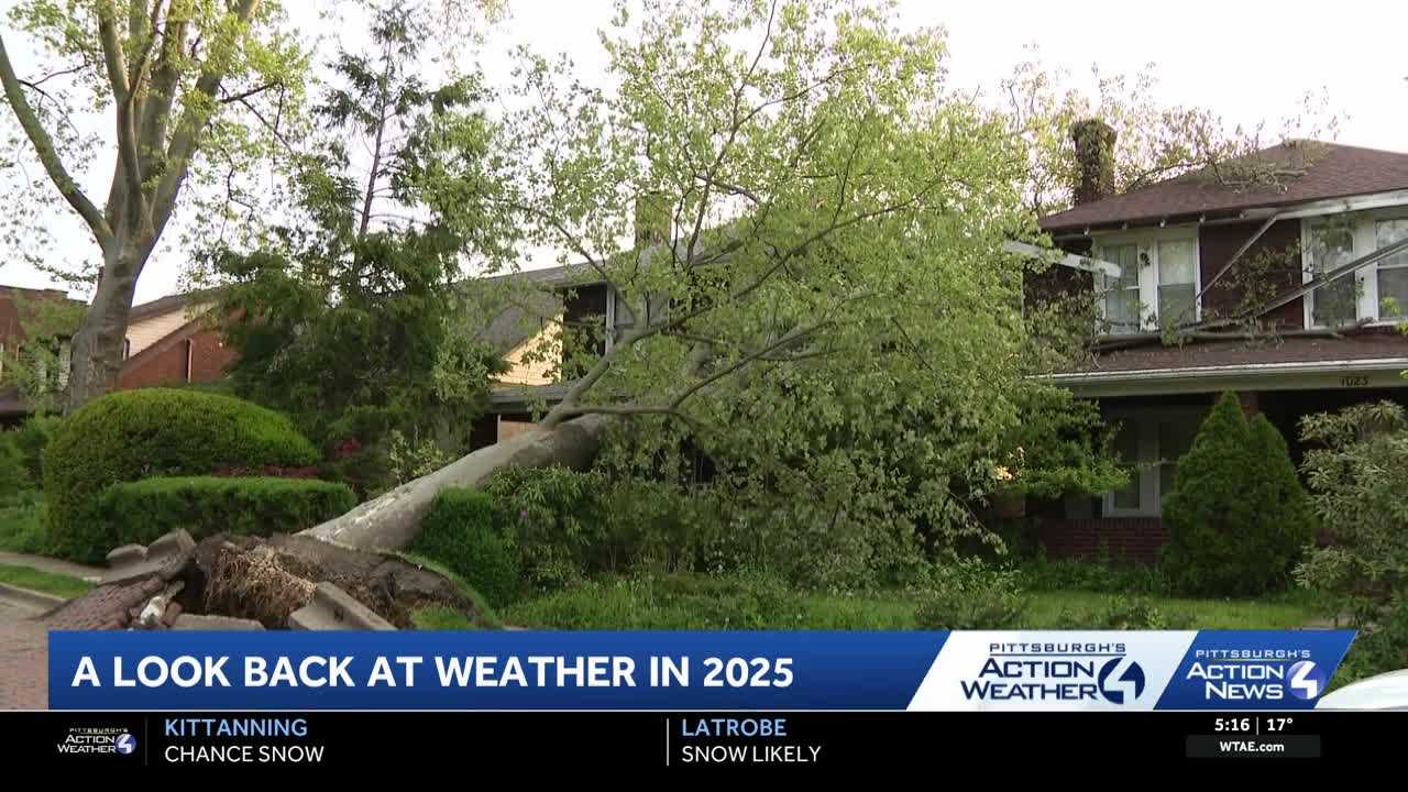 Jill Szwed - Meteorologist