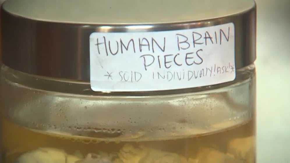 Unique items for sale at Birmingham Oddities in Alabama