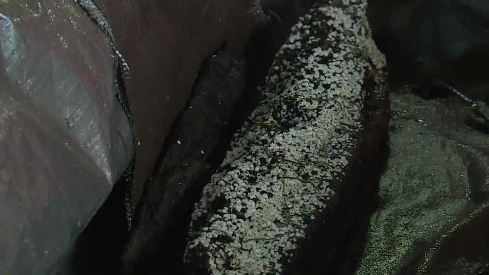 700 year-old canoe excavated from Cape Porpoise harbor