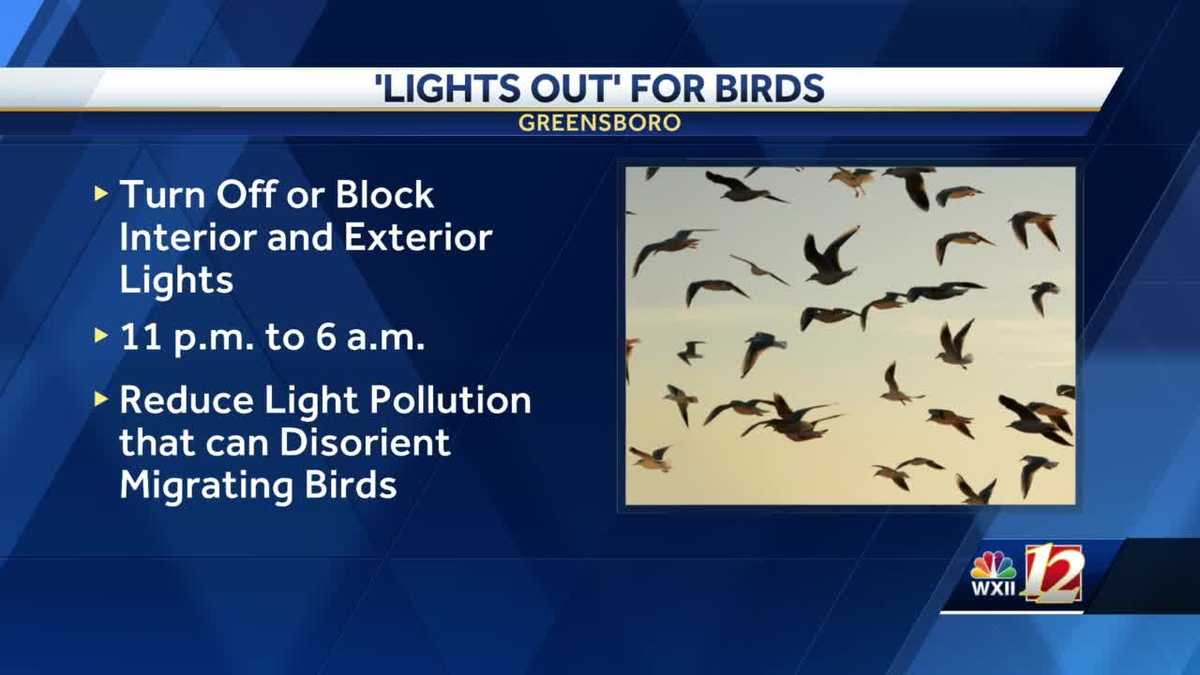 Greensboro's Lights Out initiative aims to reduce light pollution