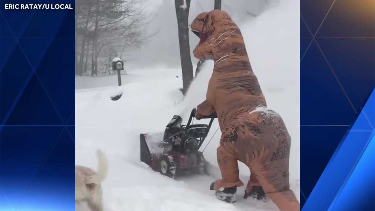 See it: T-Rex caught snowblowing New England driveway