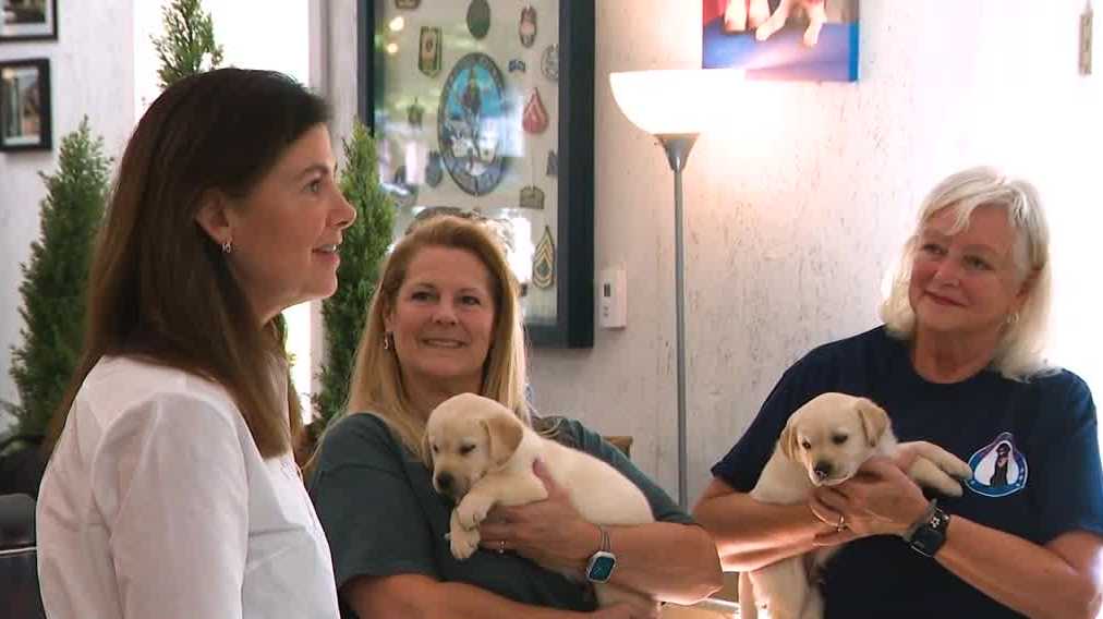 Ayotte signs Service Dog Awareness Month proclamation in Exeter