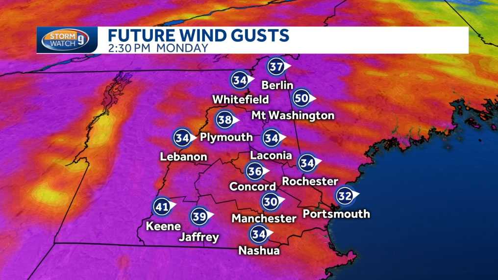 Watch: Strong winds could mean power outages