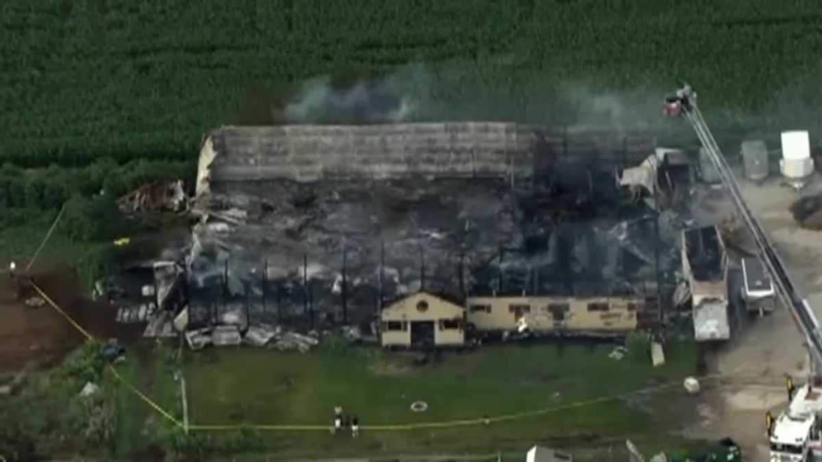 Video: Horses killed in Illinois barn fire