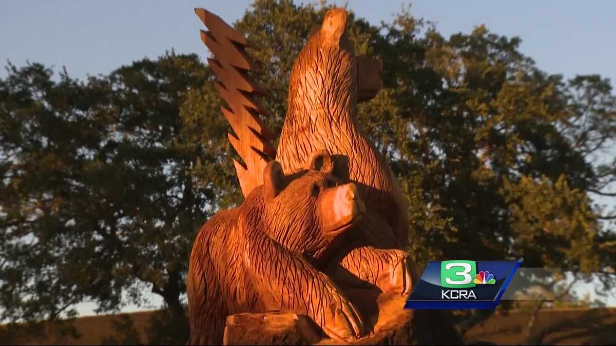 Stump artist helps breathe new life into dead trees