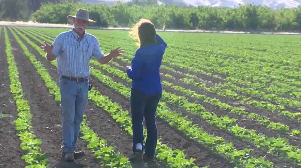 'It’s good for all of us': Farmer reacts to drought relief plan