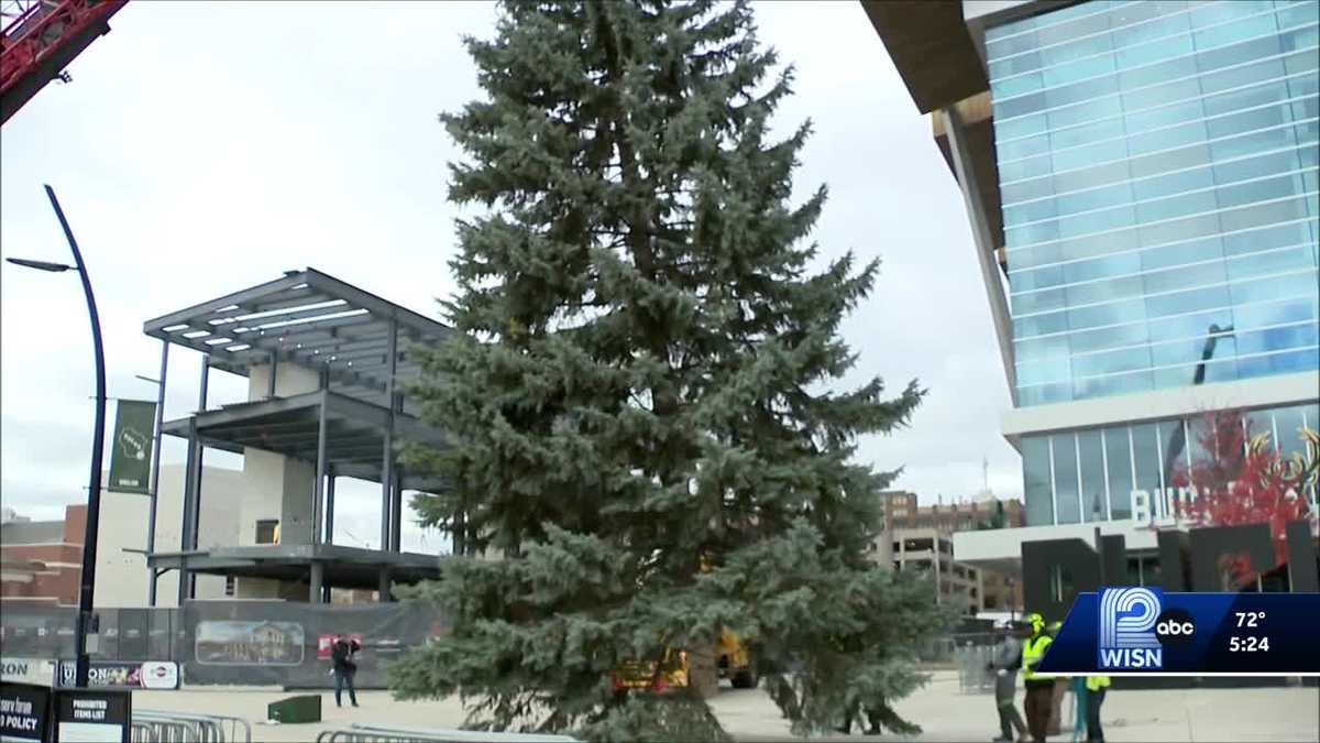 City of Milwaukee begins search for Christmas tree