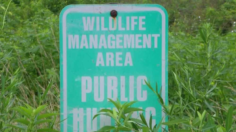 Iowa DNR conducts pheasant survey ahead of hunting season