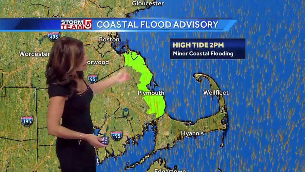 Video: Damp, windy afternoon ahead