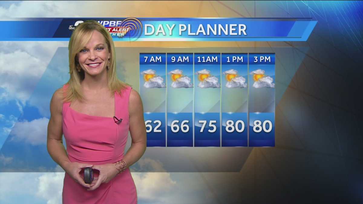 New week, same, sunny story