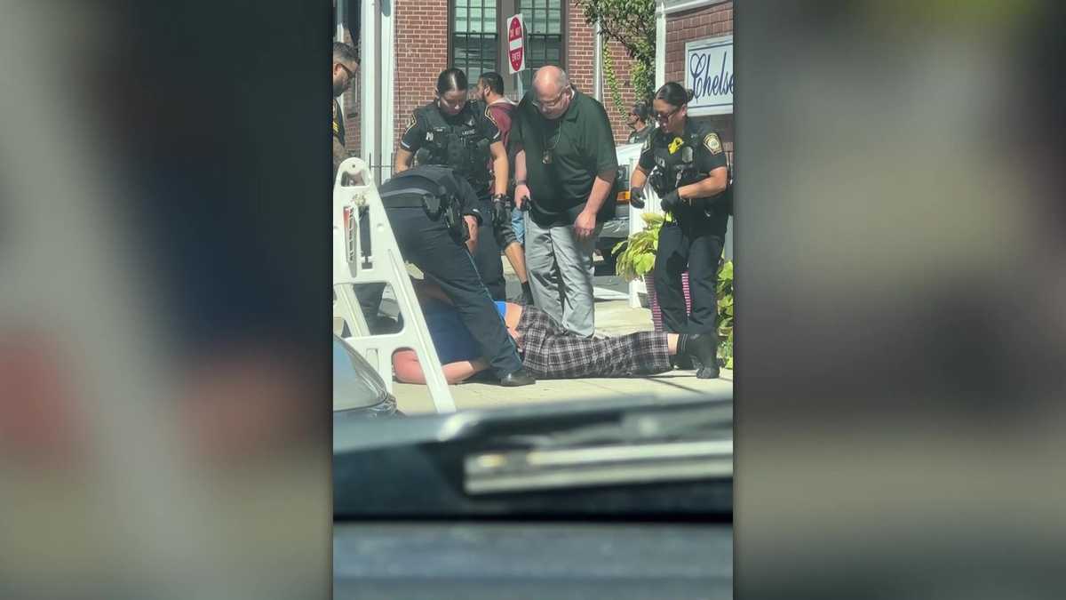 Portion of Mass. police officer’s ear bitten off while responding to ...