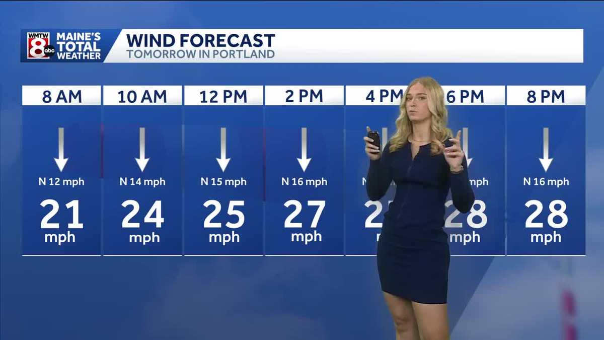 Bitter cold day with winds picking up Sunday