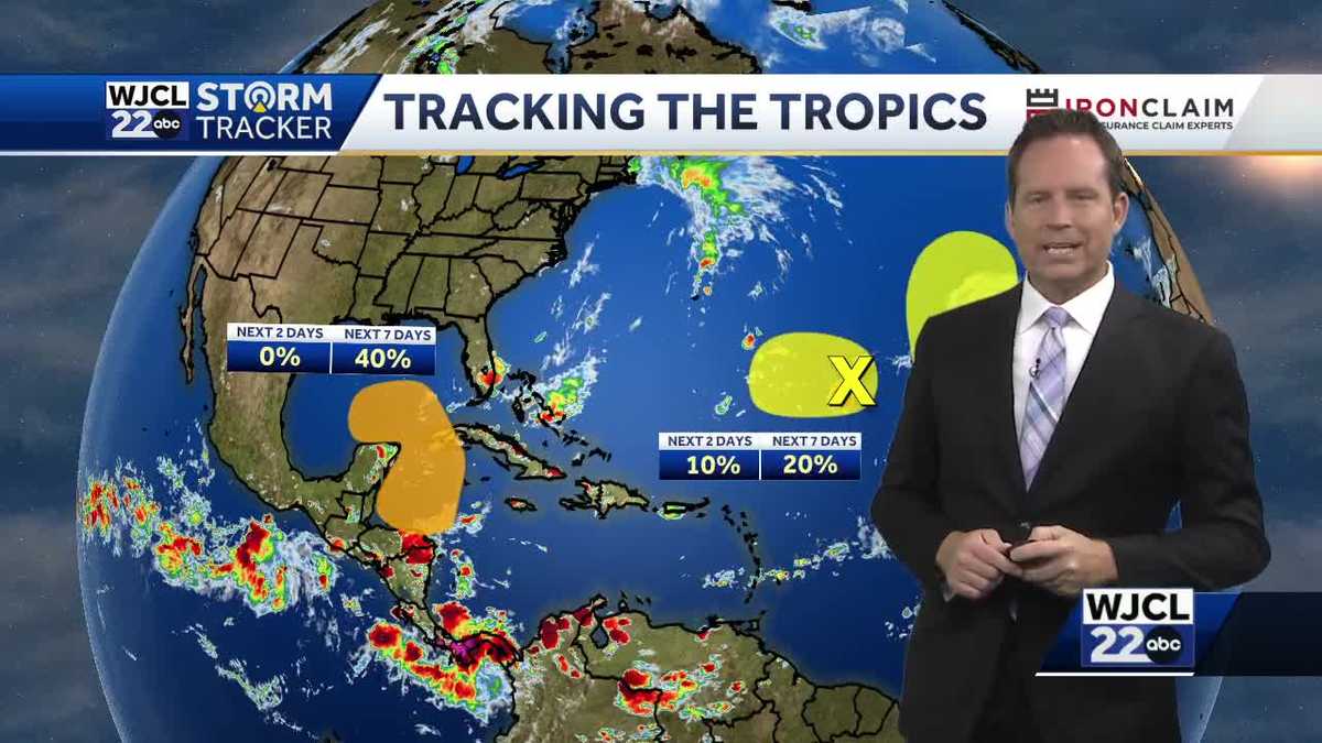 Savannah: Tracking the tropics