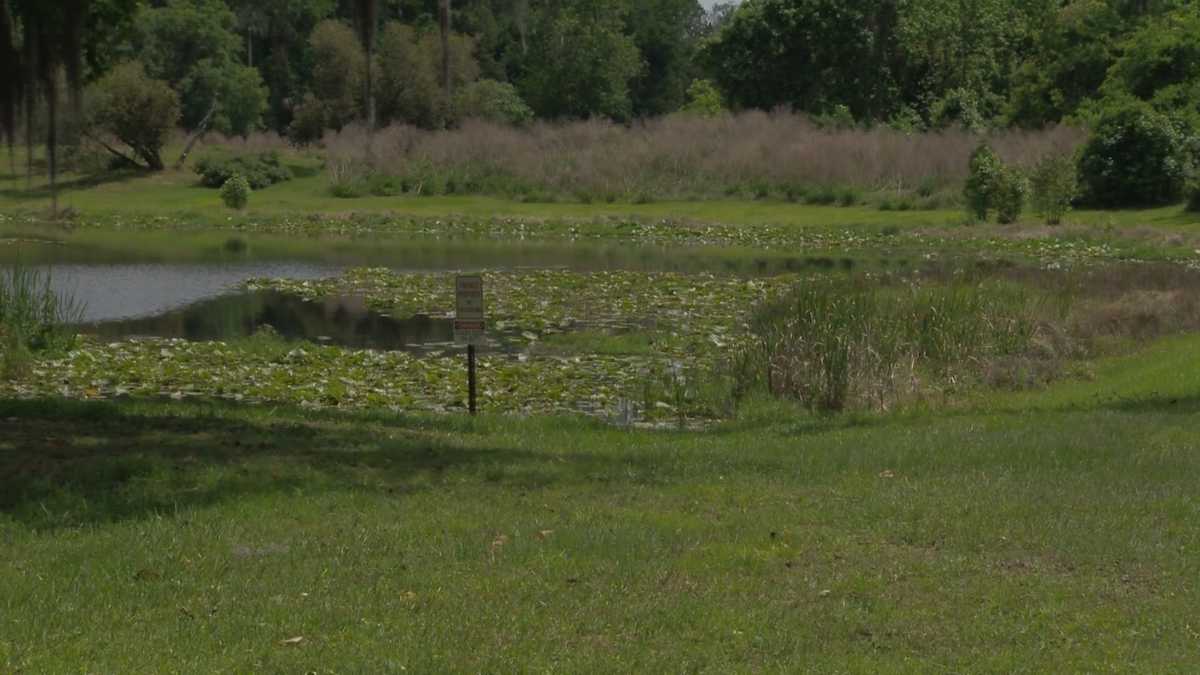 Tentative deal reached for Sabal Point's former golf course