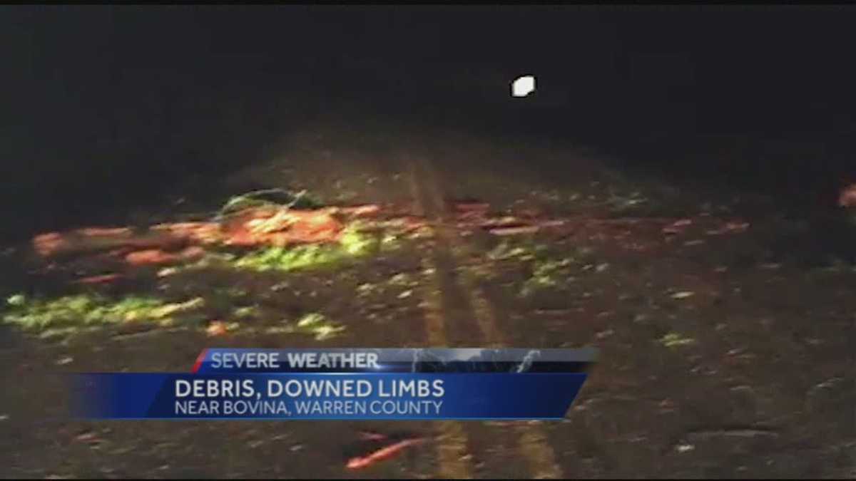 Downed limbs in Bovina