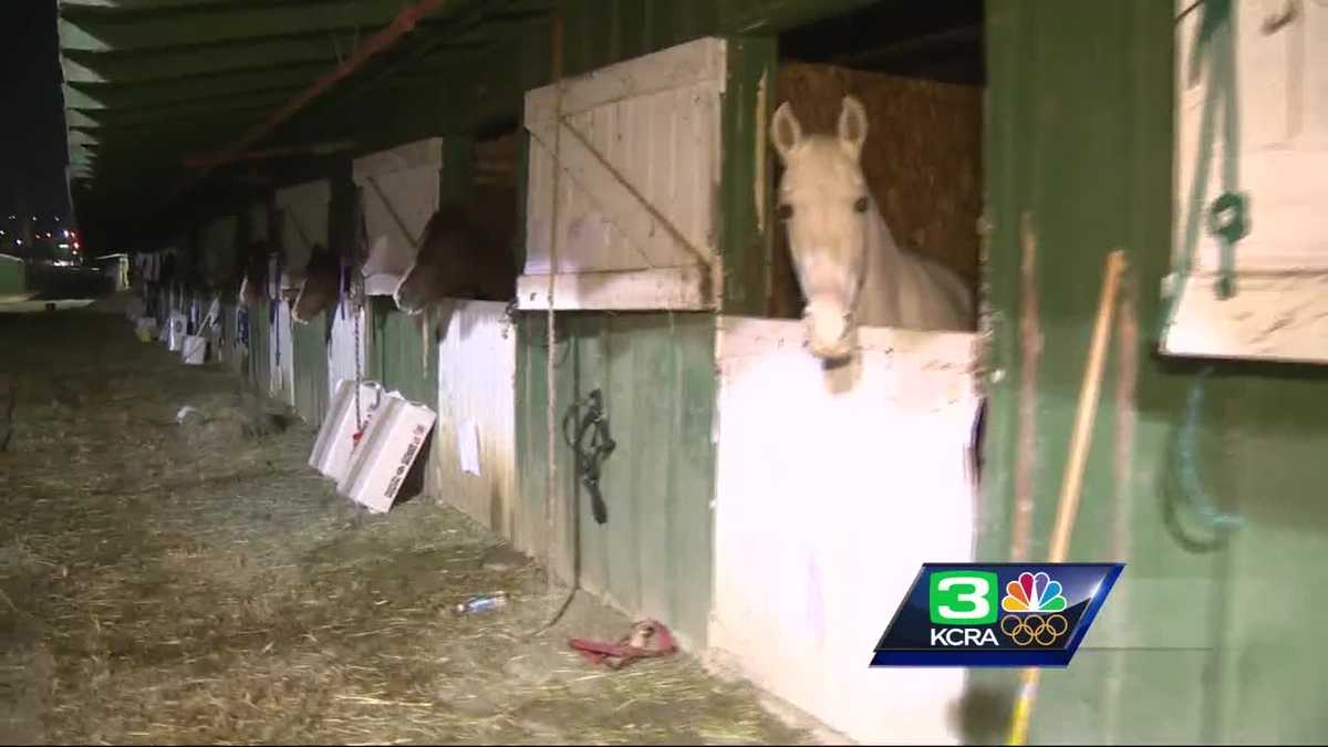 Volunteers care for scared farm animals escaping Atlas Fire