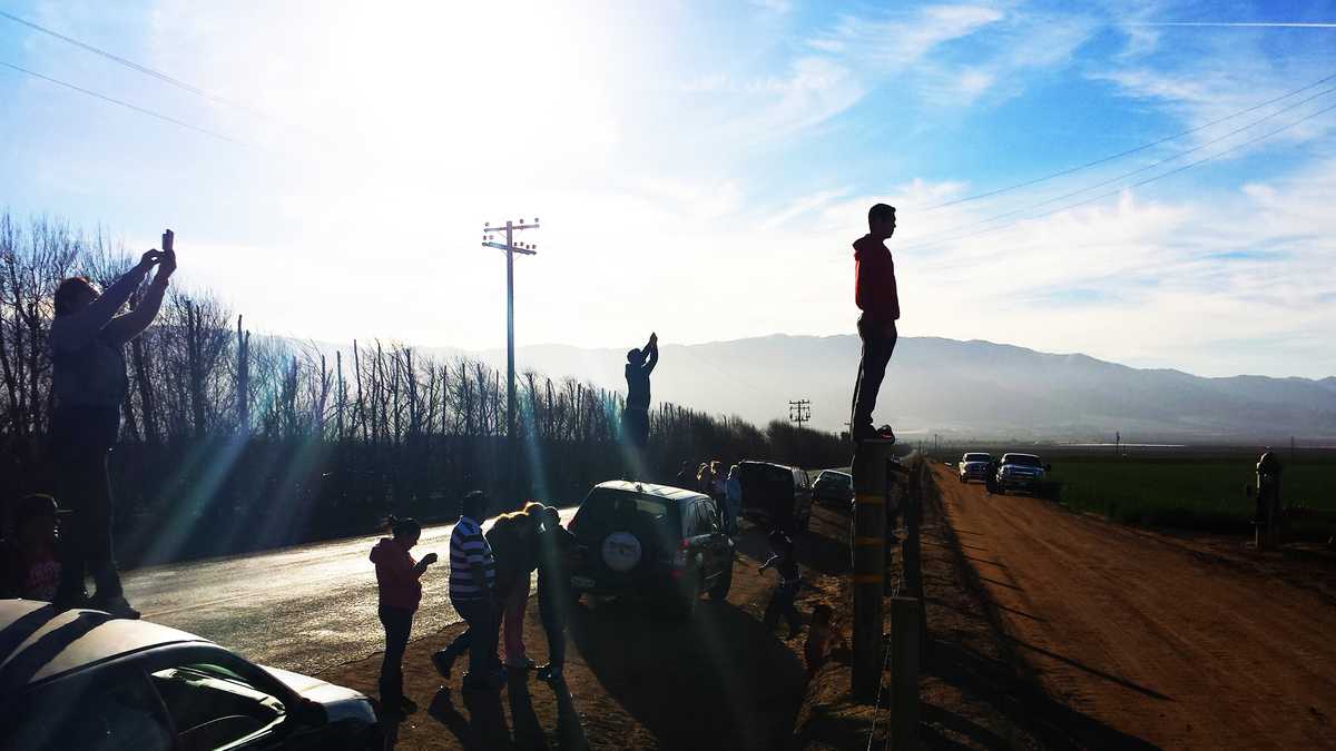 Who really made the Chualar crop circle?