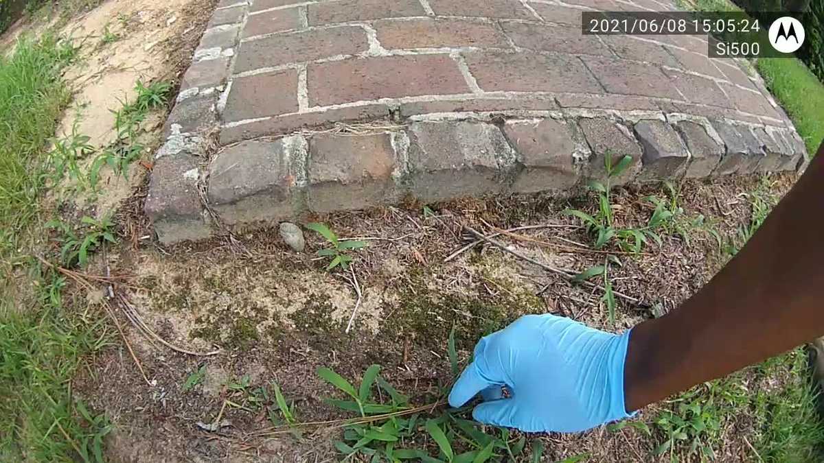 Murdaugh: Video shows police collecting evidence at crime scene