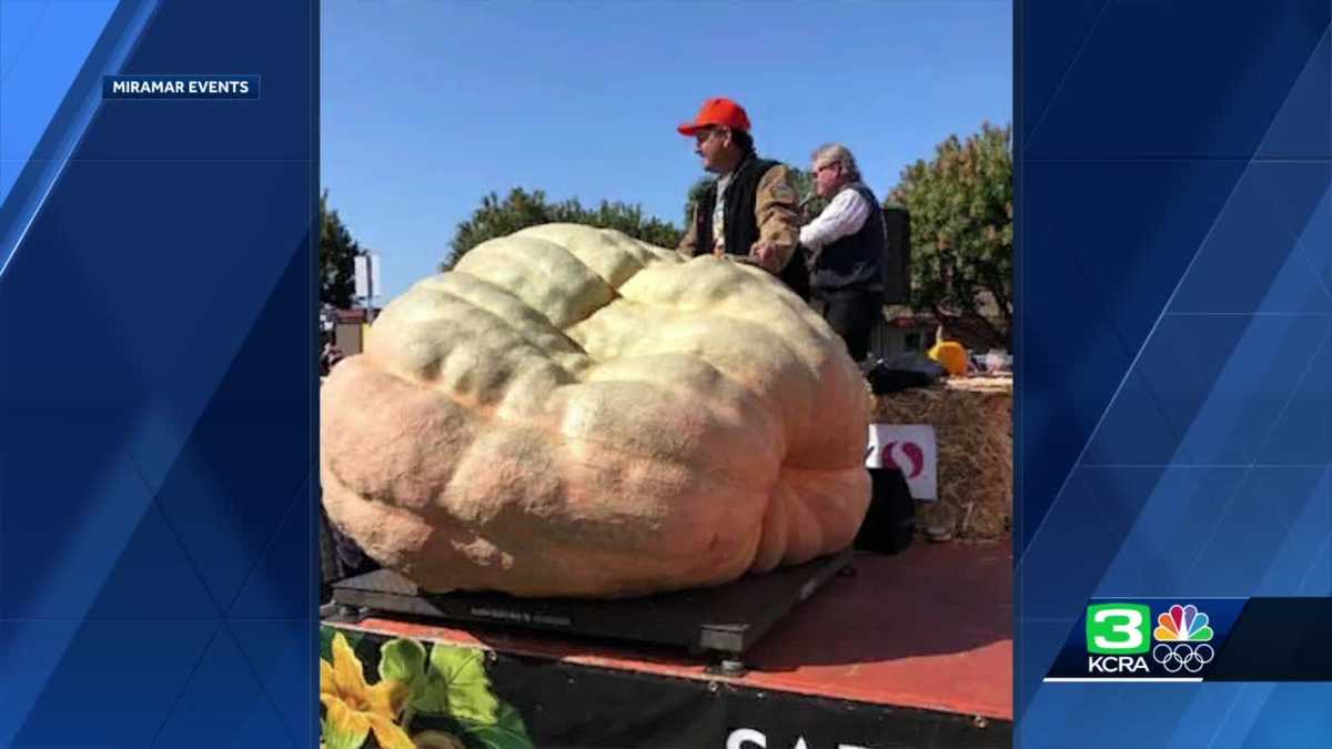 Giant pumpkin weighing 2,175 pounds sets California record