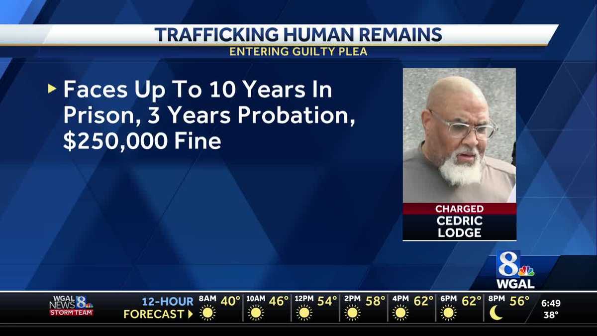 Former Harvard morgue manager to plead guilty in human remains ...
