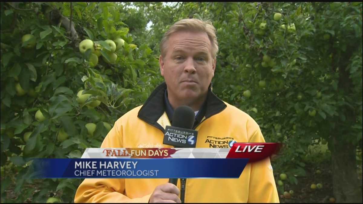 Fall Fun Days: Simmons Farm