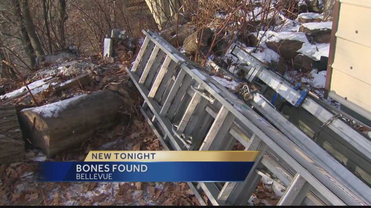 Skeleton found on Ohio River Boulevard