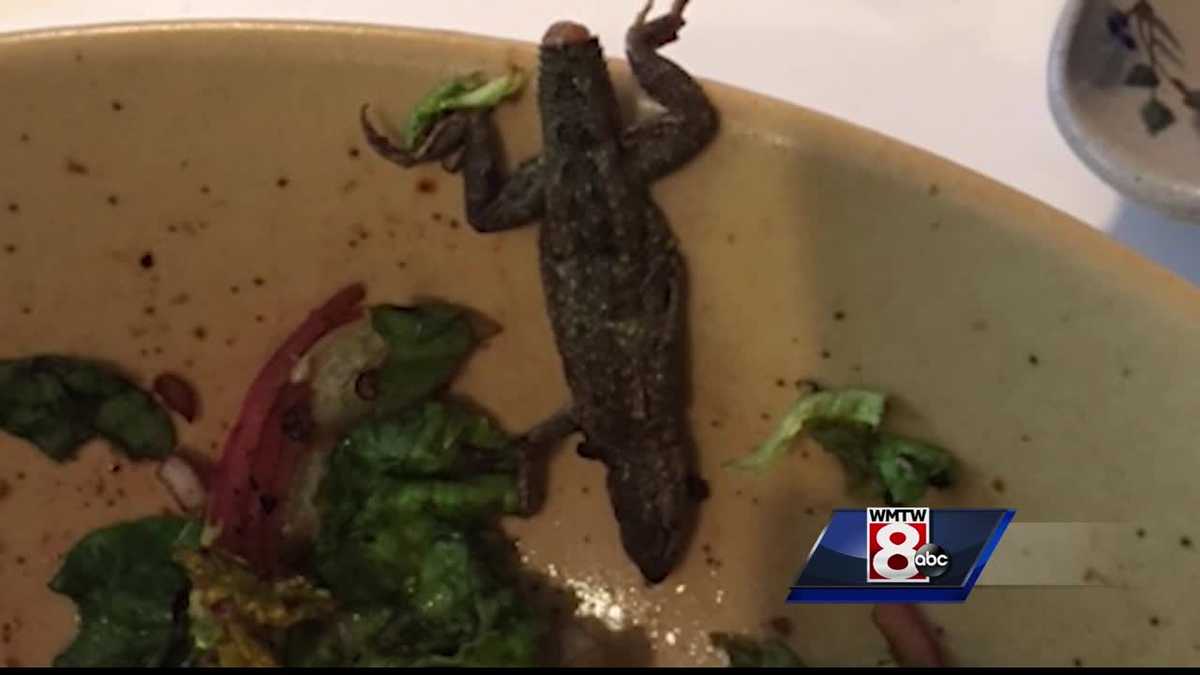 Maine mom finds lizard in lettuce
