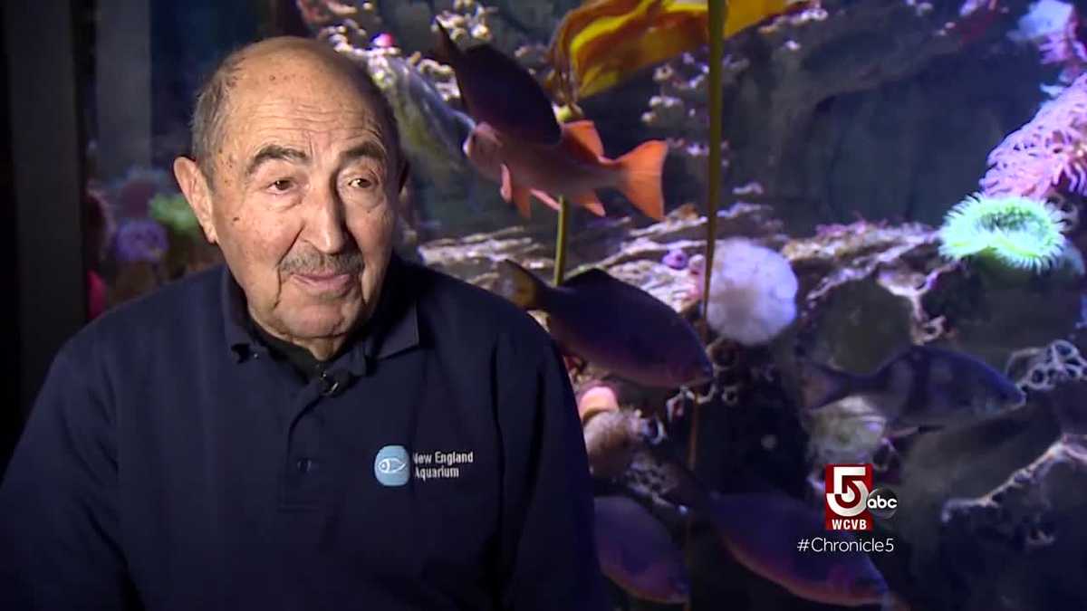 An octopus and an octogenarian