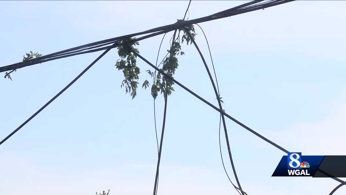 Downed wires, trees from storm in Lancaster County