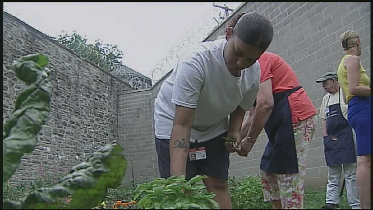 Female inmates help plant garden