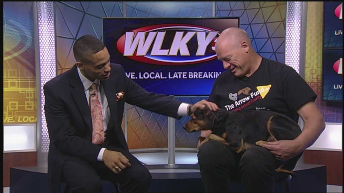 Monster Mash costume ball