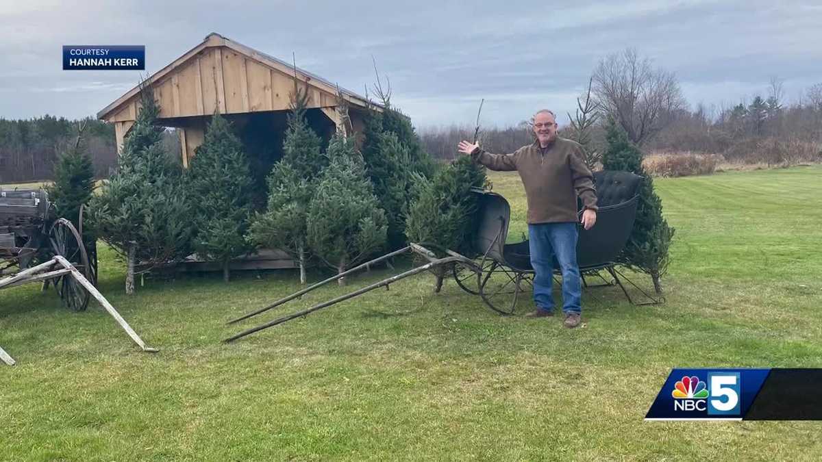 West Chazy family embraces spirit of giving with free Christmas tree ...