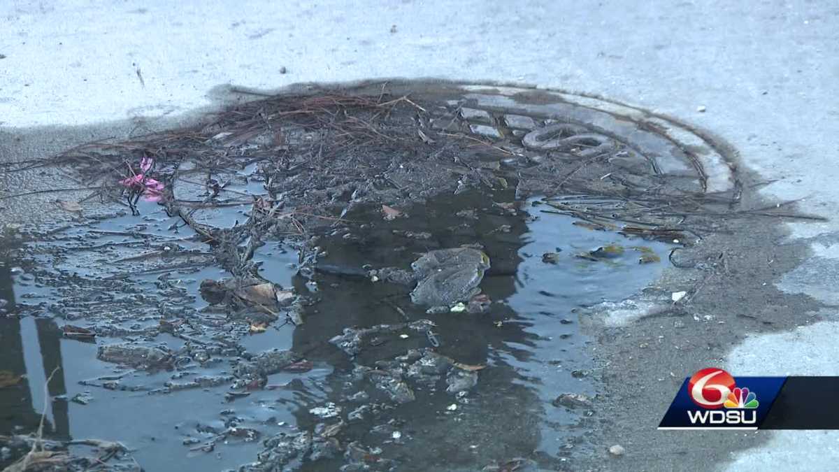Gentilly busted sewer pipe
