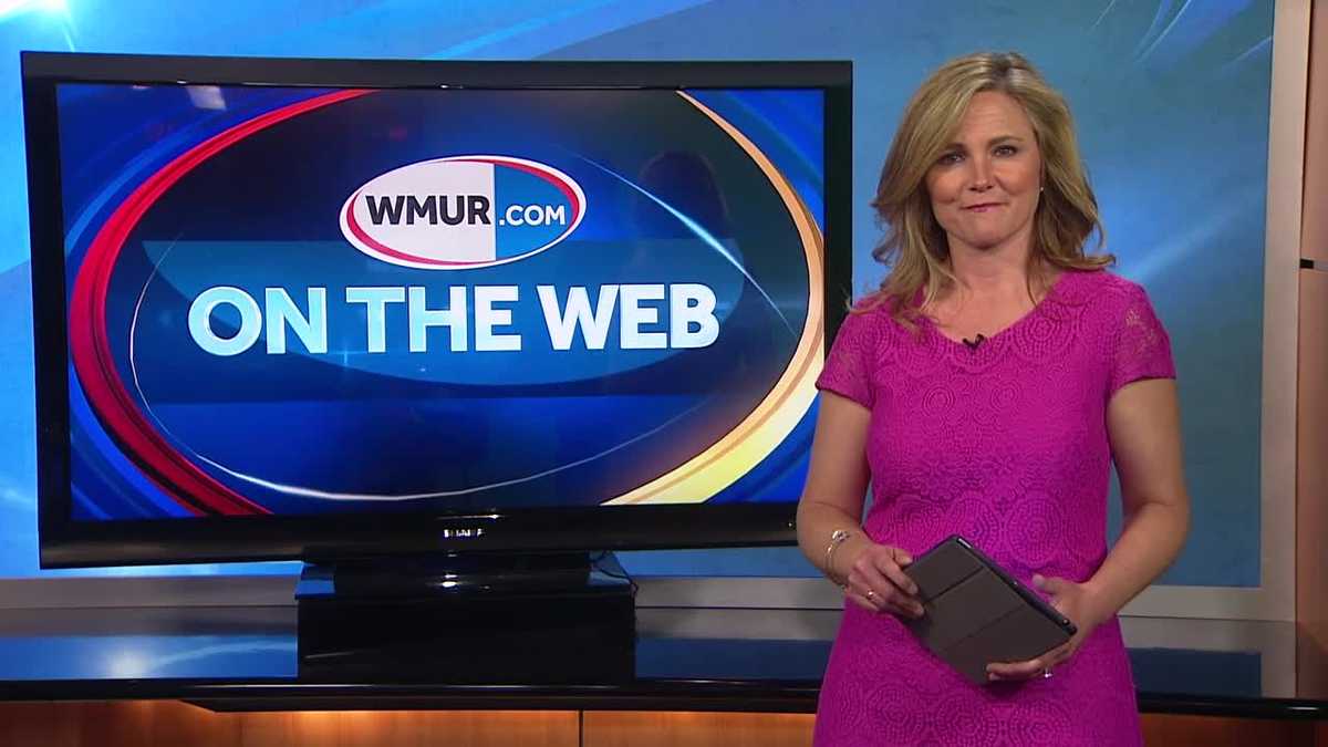 Wednesday morning webcast