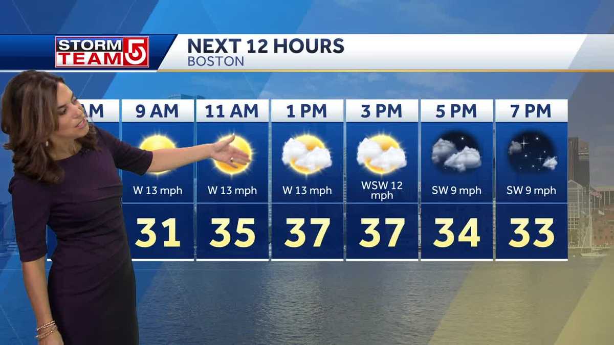 Video: Cold day with biting winds