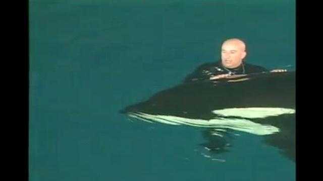 RAW VIDEO: Near death at SeaWorld San Diego