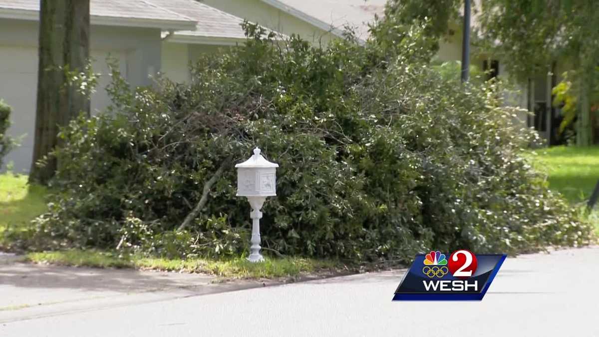 Central Florida residents clear trees, debris ahead of Irma