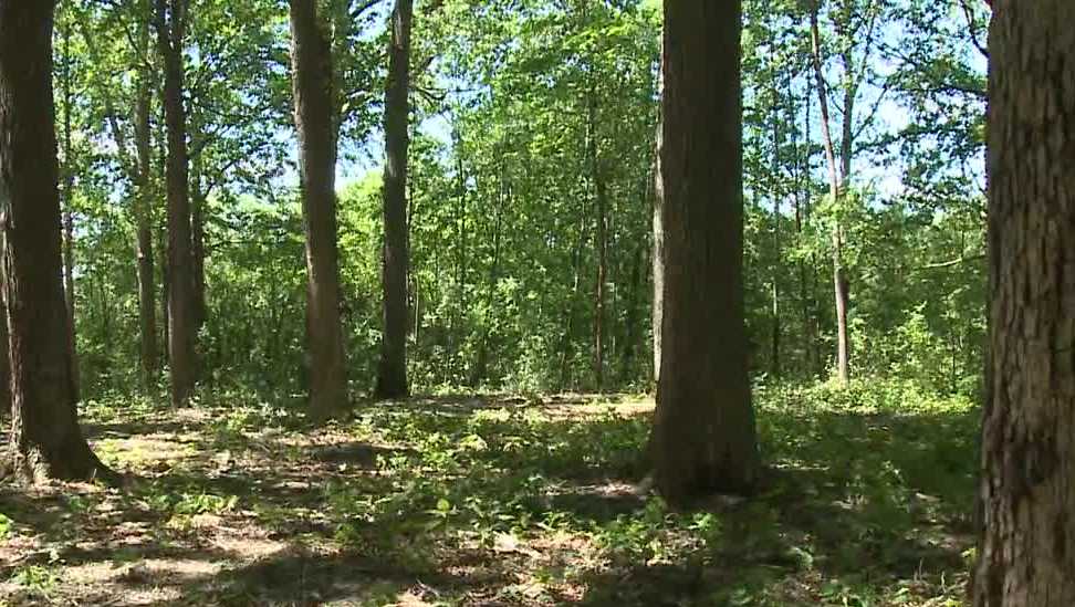 Climate Adaptation Research Inside Wauwatosa Forest