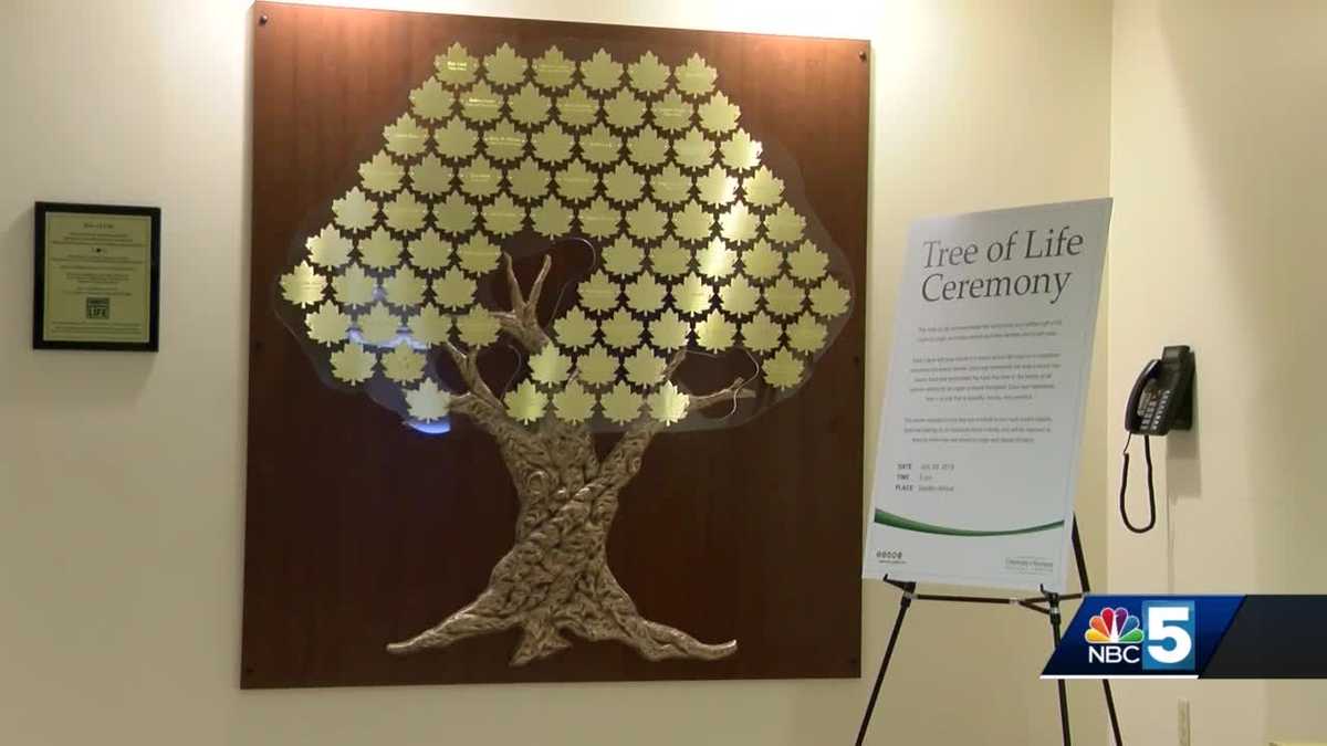 Tree of Life remembers departed organ donors