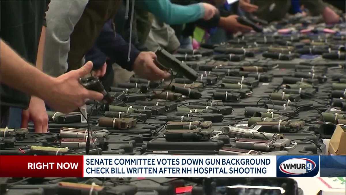State Senate committee votes against gun background check bill
