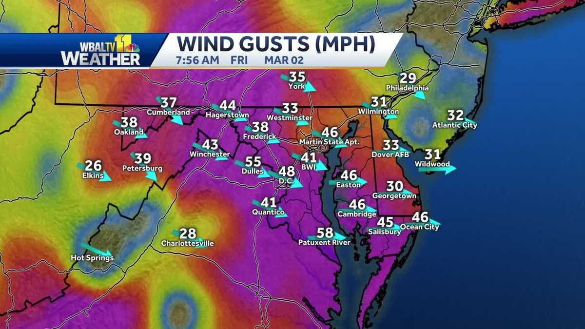 High wind gusts cause downed trees High wind gusts cause downed trees