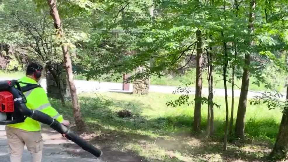 Consumer Reports: Tools for fall yard clean-up