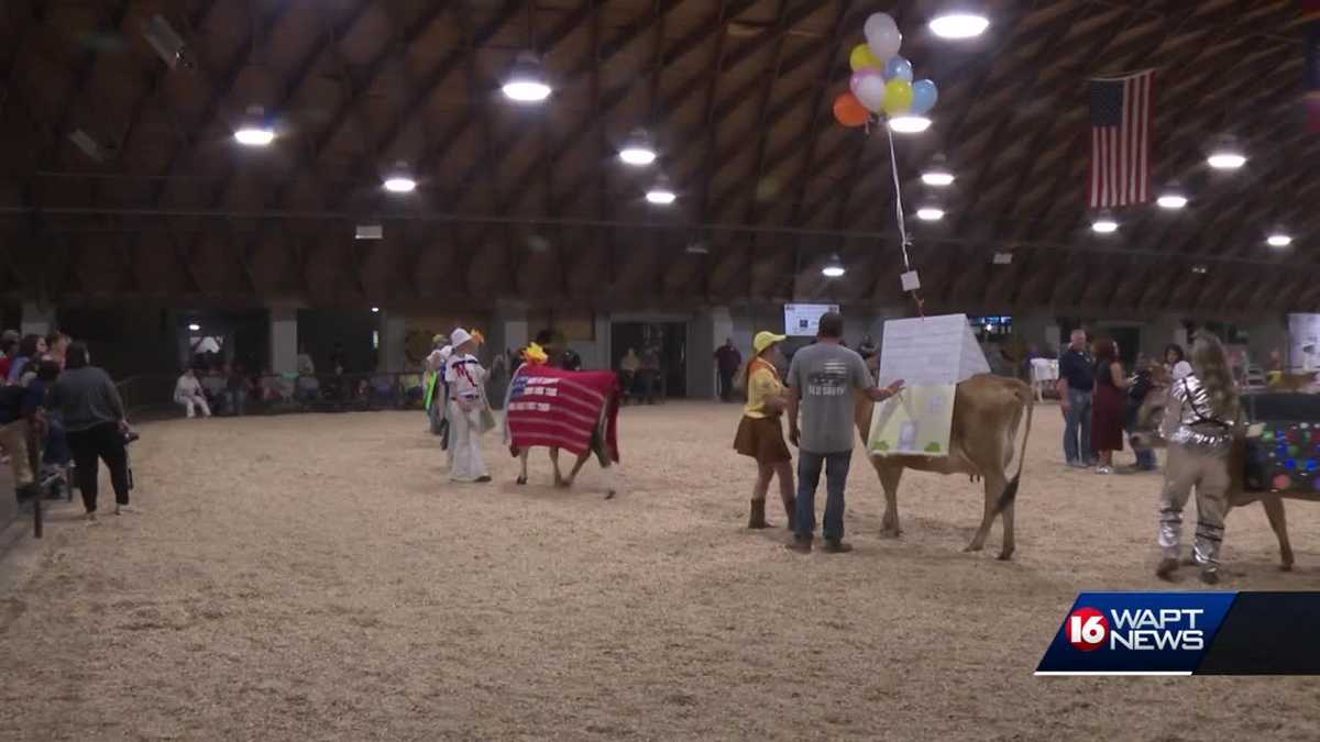 Exhibitors and cow duos wow judges in Pretty Cow Contest