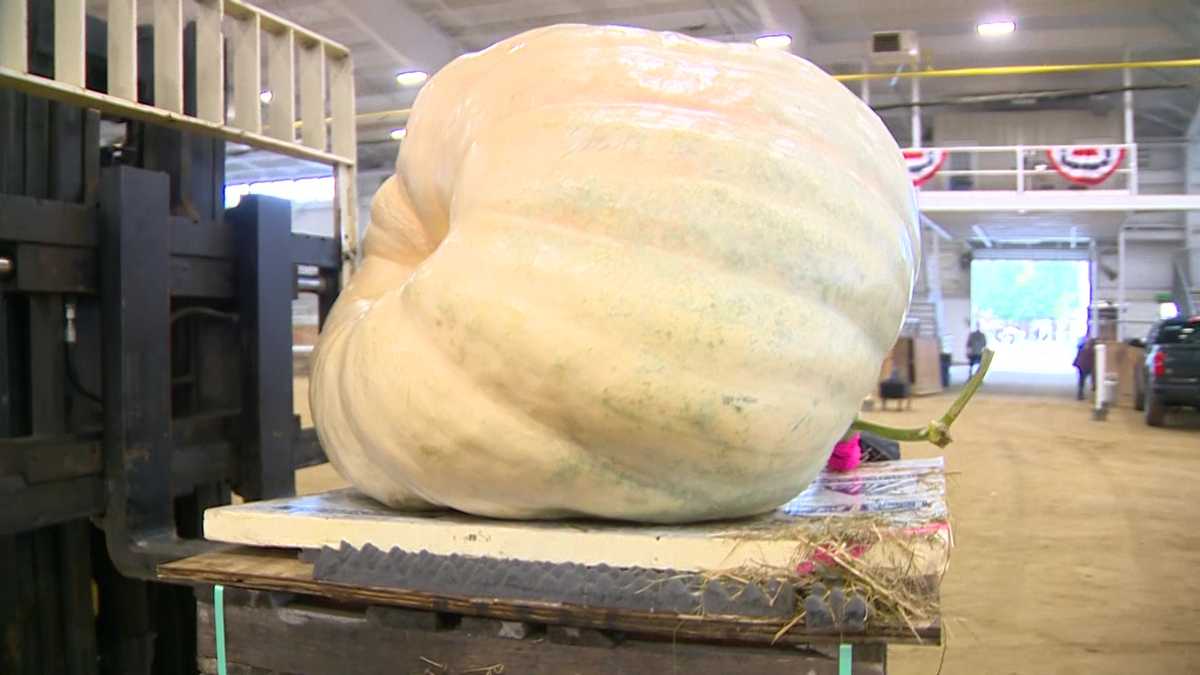 Annual Topsfield fair returns with giant pumpkin weigh-in