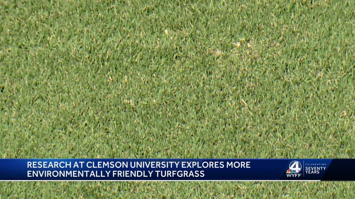 Clemson students and faculty study ways to improve turfgrass