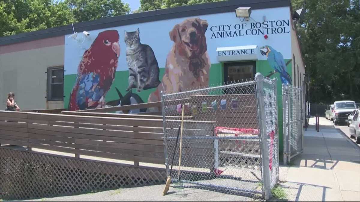 Animals moved after 'disturbing' conditions found at shelter