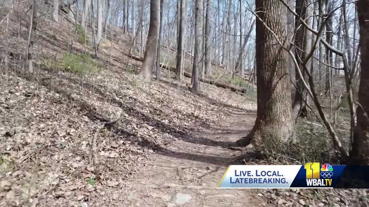 Man's body discovered off Oregon Ridge Trail, police say