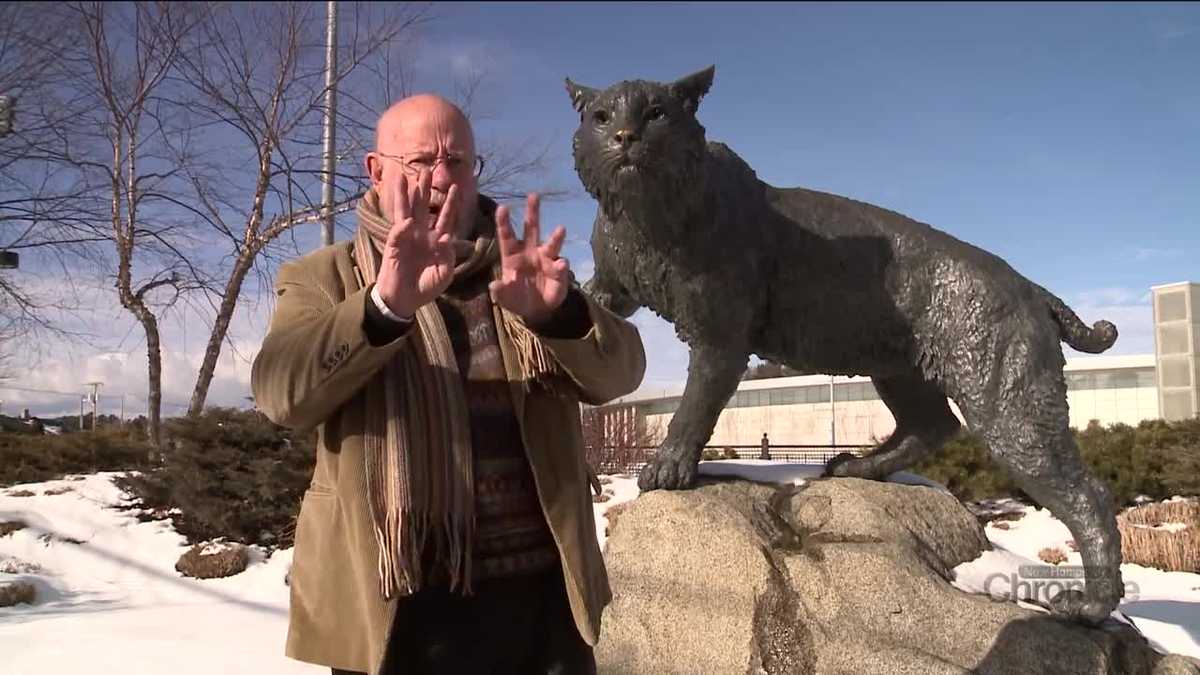 Fritz Wetherbee: The Wildcat