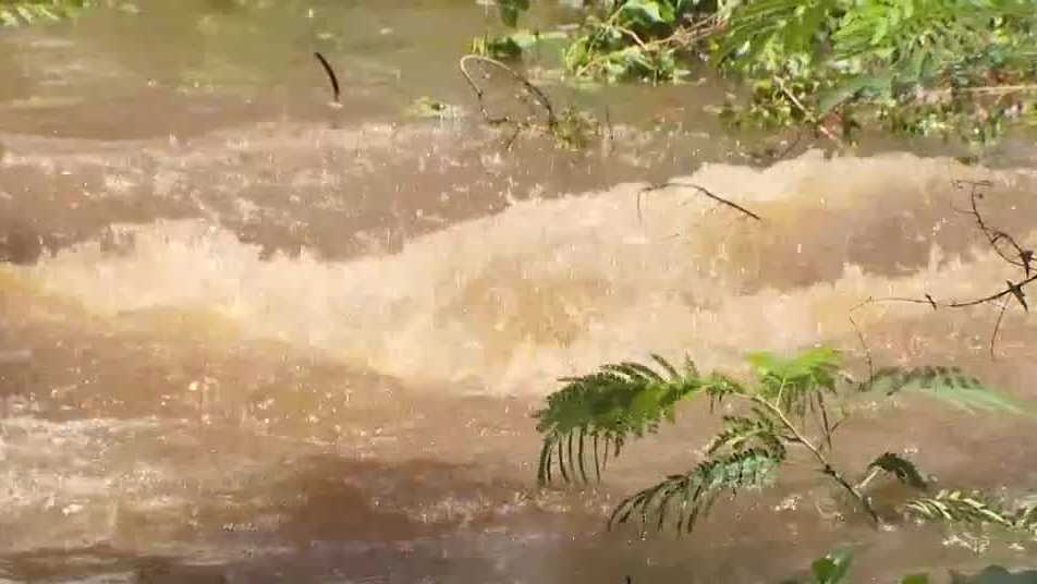 Picayune road conditions improve after widespread flooding
